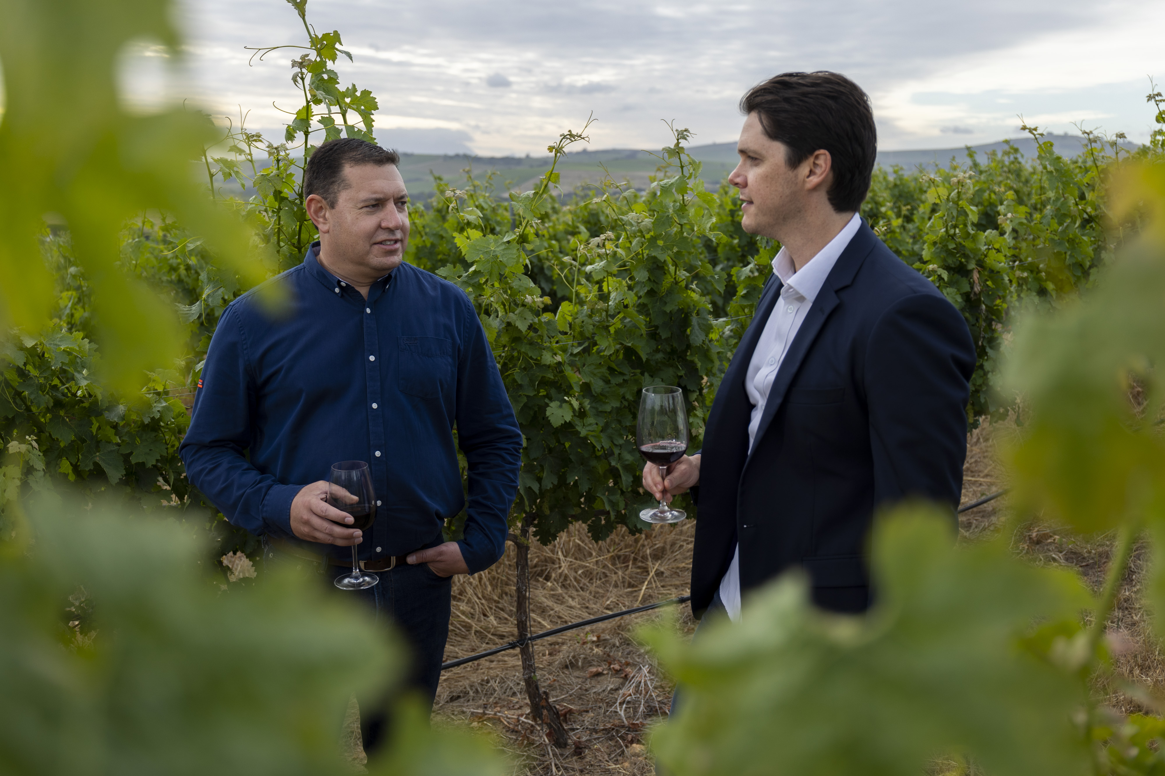 South Africa winery is making wines ‘specifically for Chinese palate’