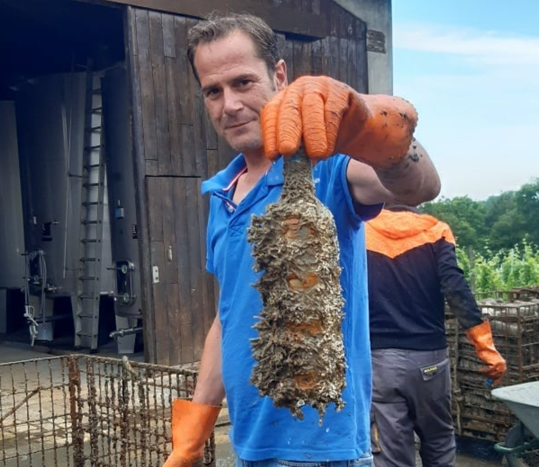 Franck Labeyrie, pioneer of sea-aged wine, passed away - Vino Joy News