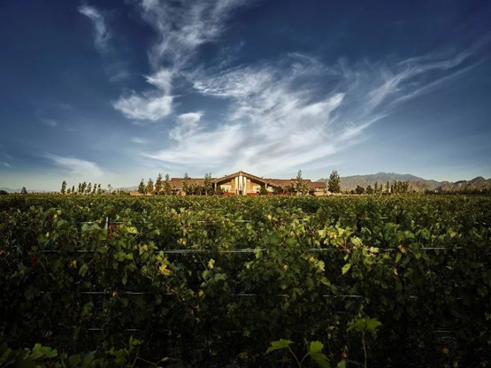 Two Chinese wineries voted among world's best vineyards - Vino Joy News