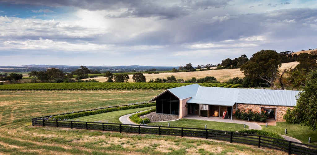 Craig Stansborough on Accolade Wines: From Barossa Roots to Global ...